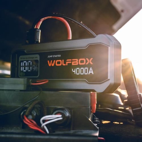 WOLFBOX® Official Site| Best Mirror Dashcam with 18-month Warranty