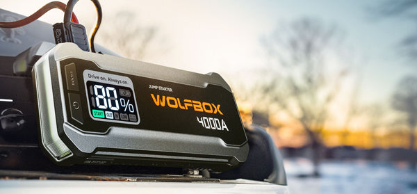 WOLFBOX® Official Site| Best Mirror Dashcam with 18-month Warranty